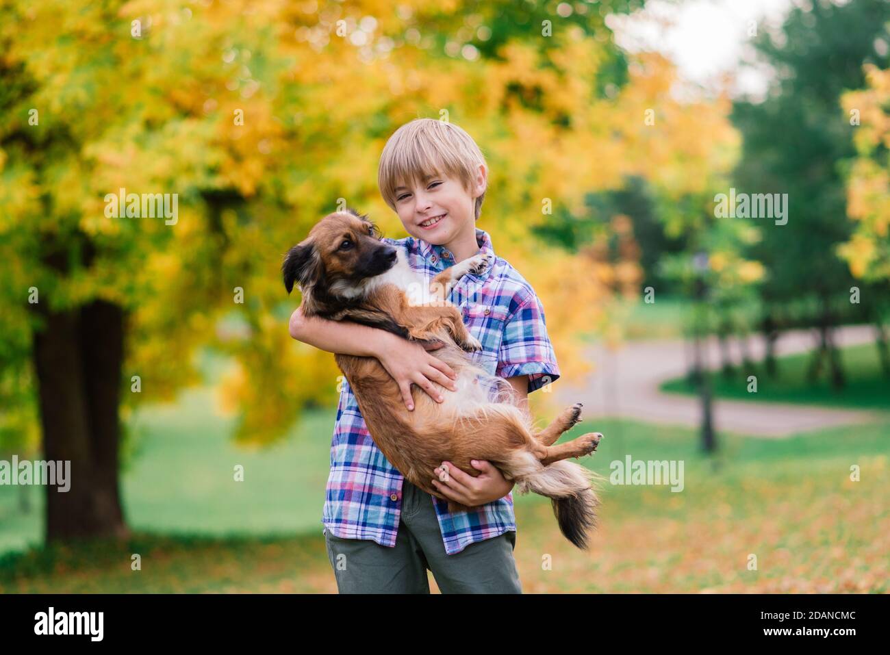 Boy hugging a dog and plyaing with in the fall, city park Stock Photo ...