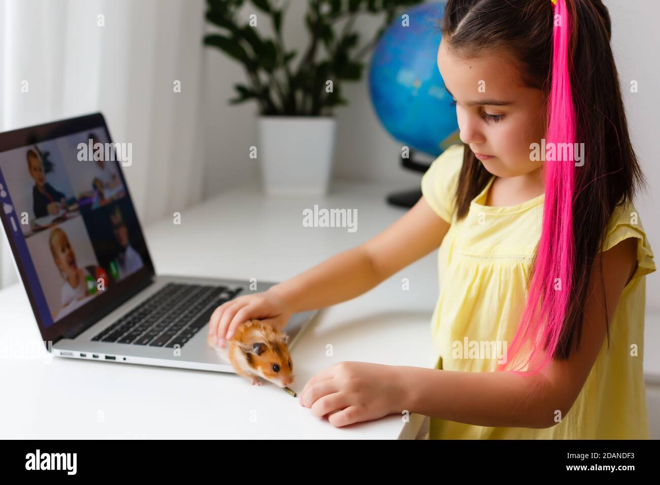 Educate at home. Child girl make homework with pet hamster. Funny ...