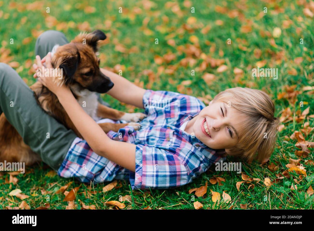 Boy hugging a dog and plyaing with in the fall, city park Stock Photo ...