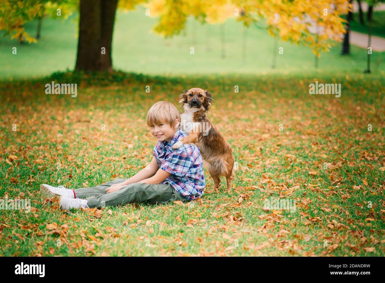 Boy hugging a dog and plyaing with in the fall, city park Stock Photo ...