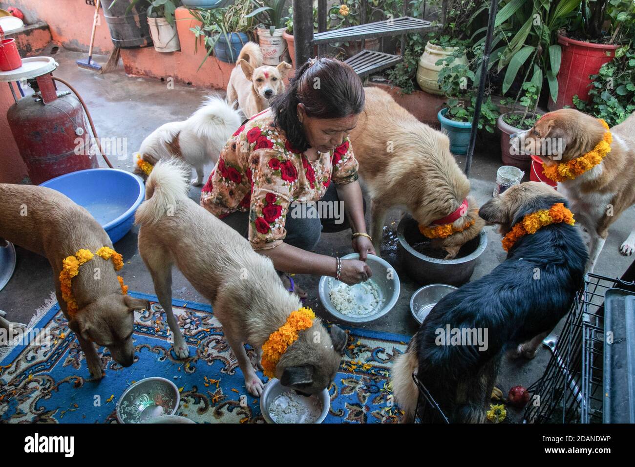 Bhujel hi-res stock photography and images - Alamy