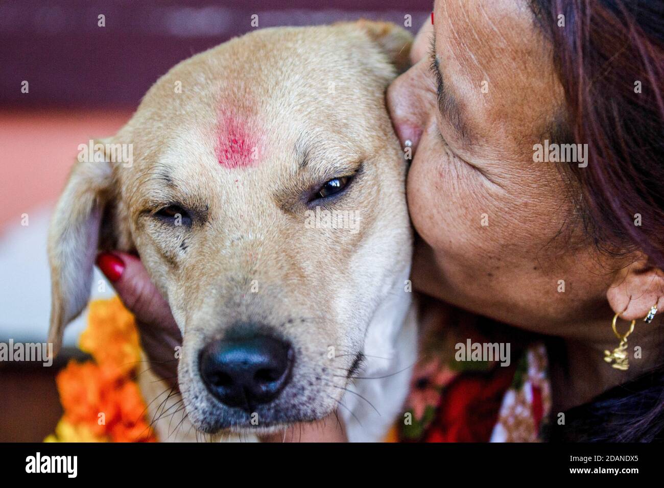 Ganga bhujel hi-res stock photography and images - Alamy