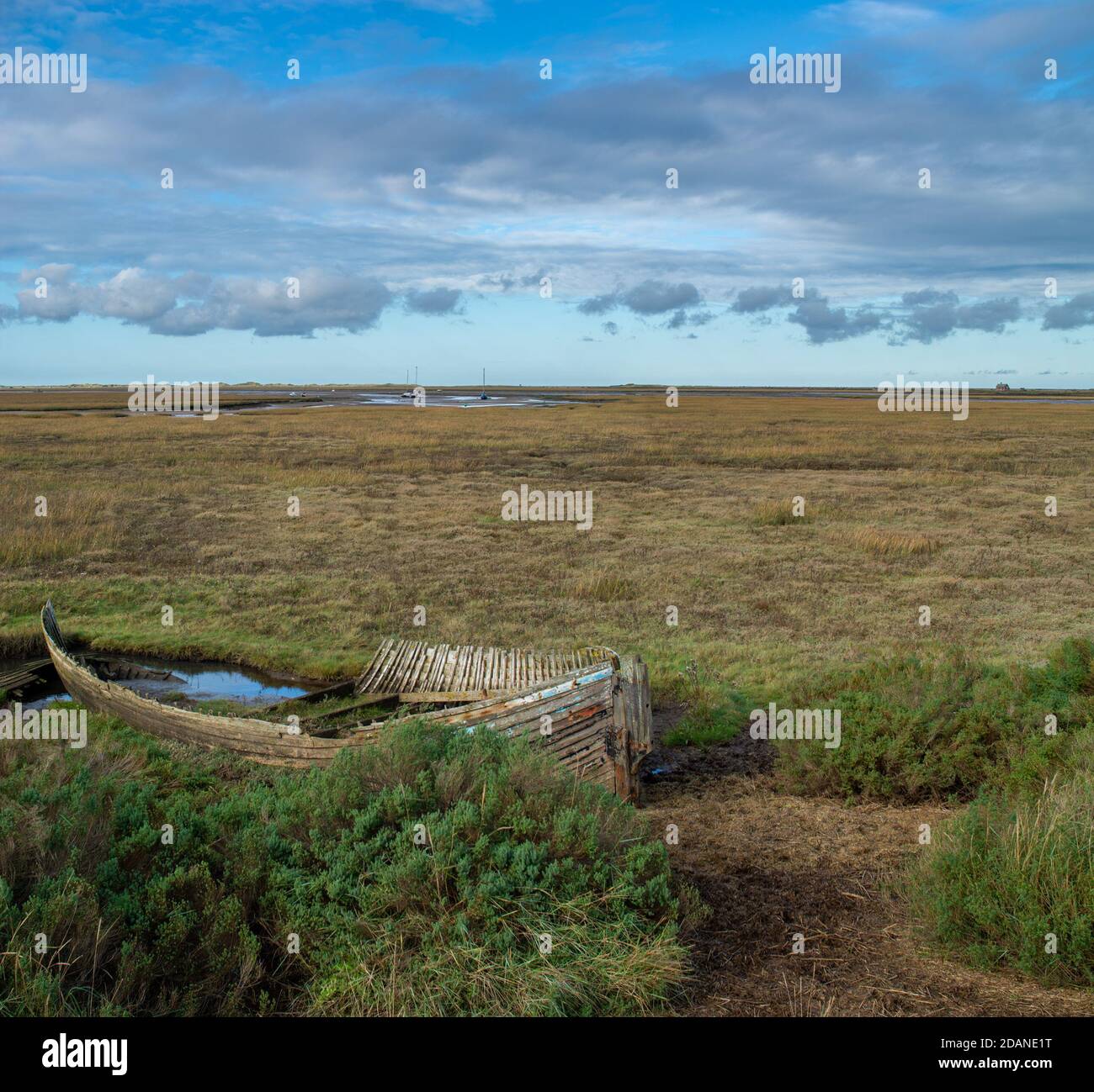 Fresh marshes Blakeney Stock Photo - Alamy