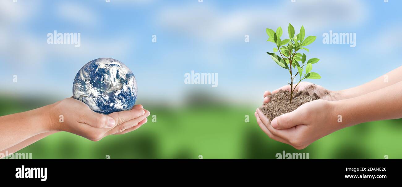 Green Nature Earth Wallpaper