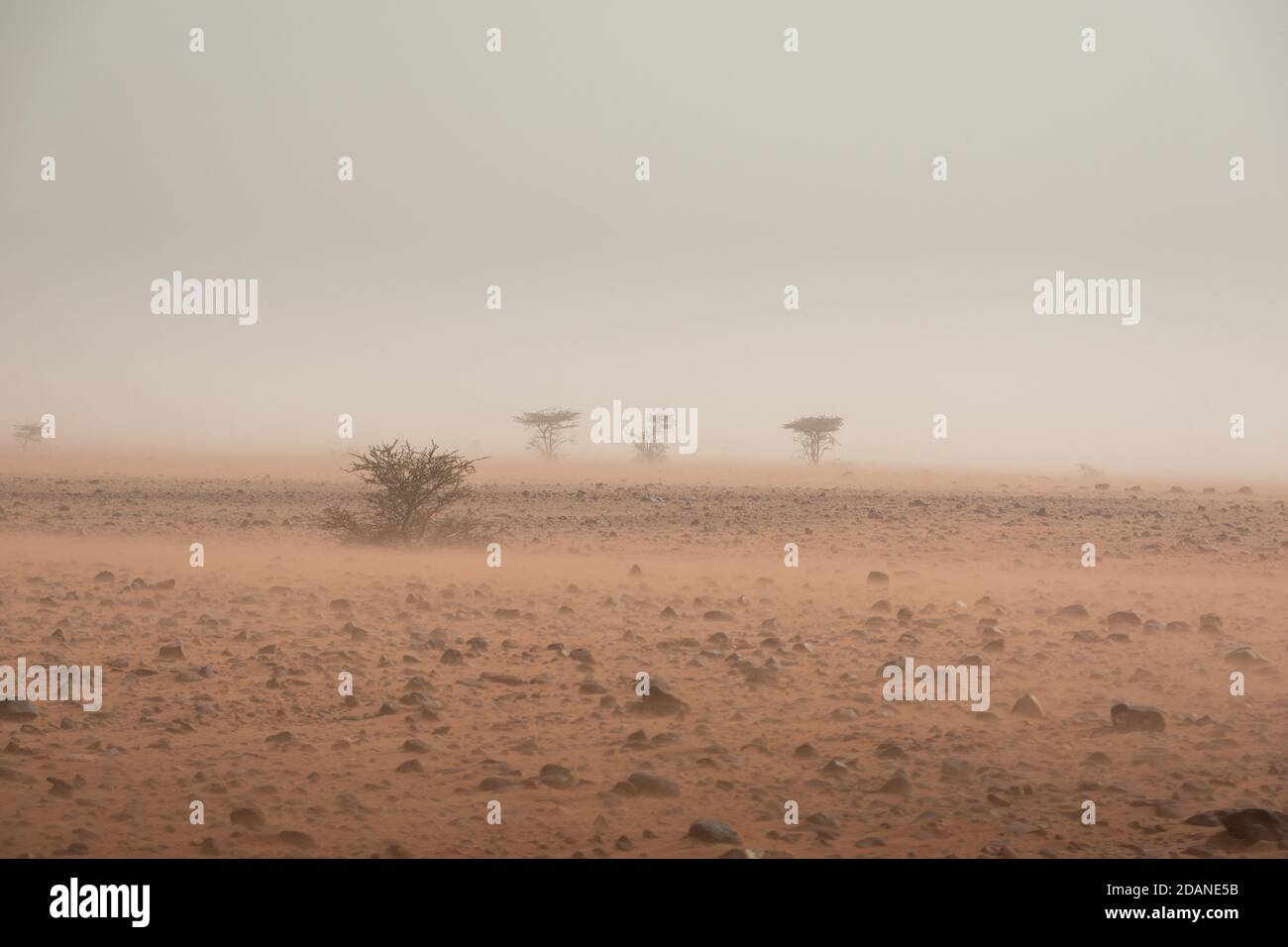Sandstorm in the desert hi-res stock photography and images - Alamy