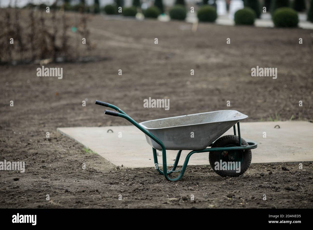 Empty wheelbarrow on the site of a tree plantation Stock Photo - Alamy