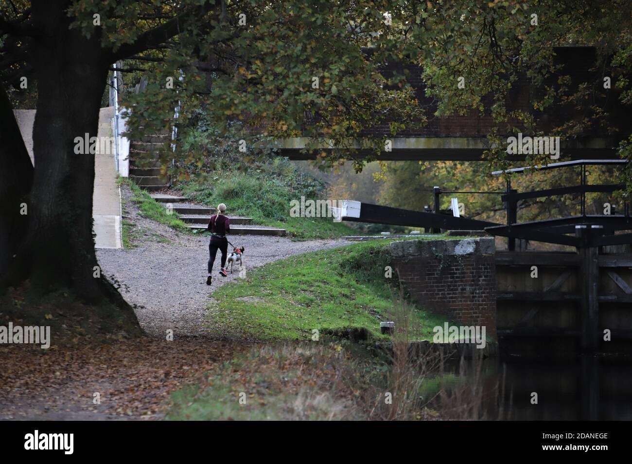 female runner with a dog on a canal bank Stock Photo - Alamy