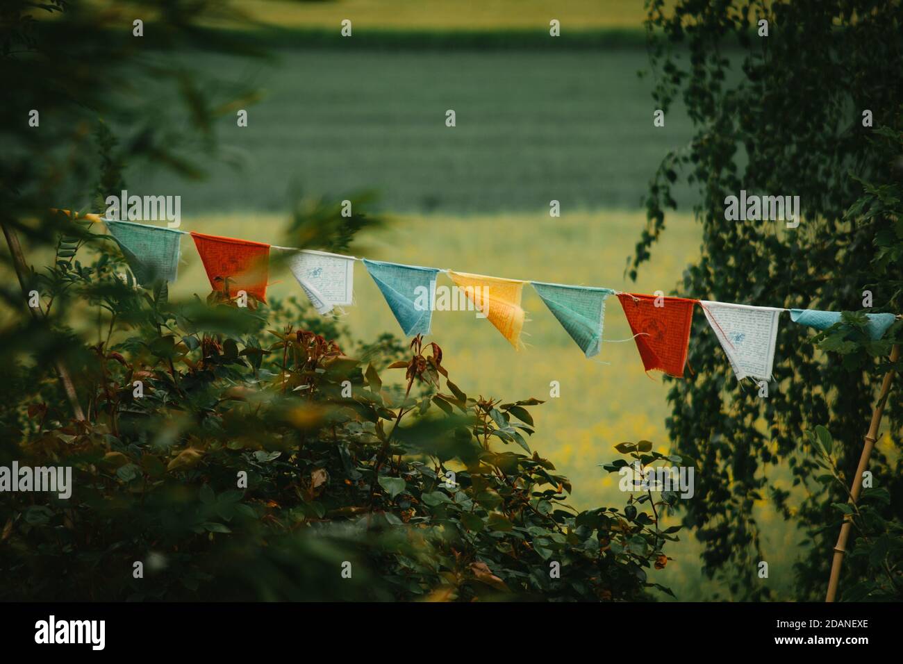 colorful flags in the wind Stock Photo - Alamy
