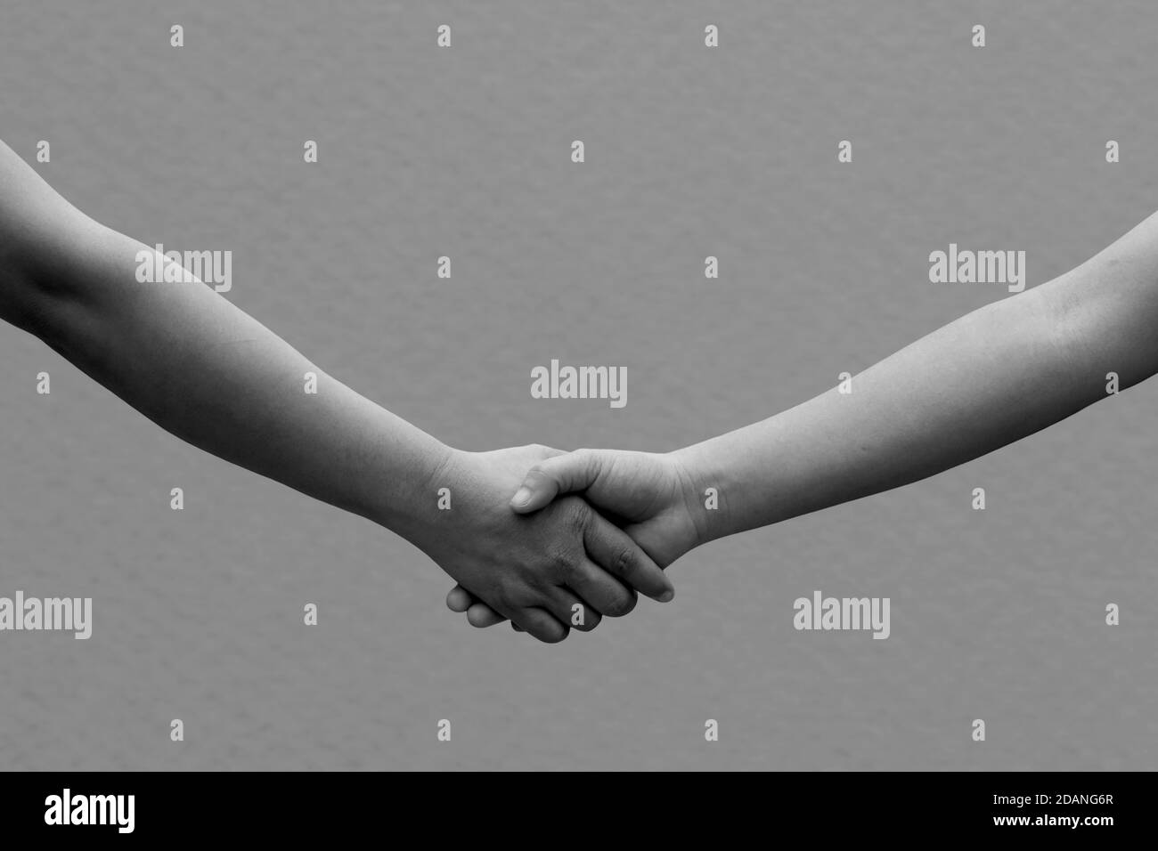 Handshake between the two partners. Black and white image. Female hand ...