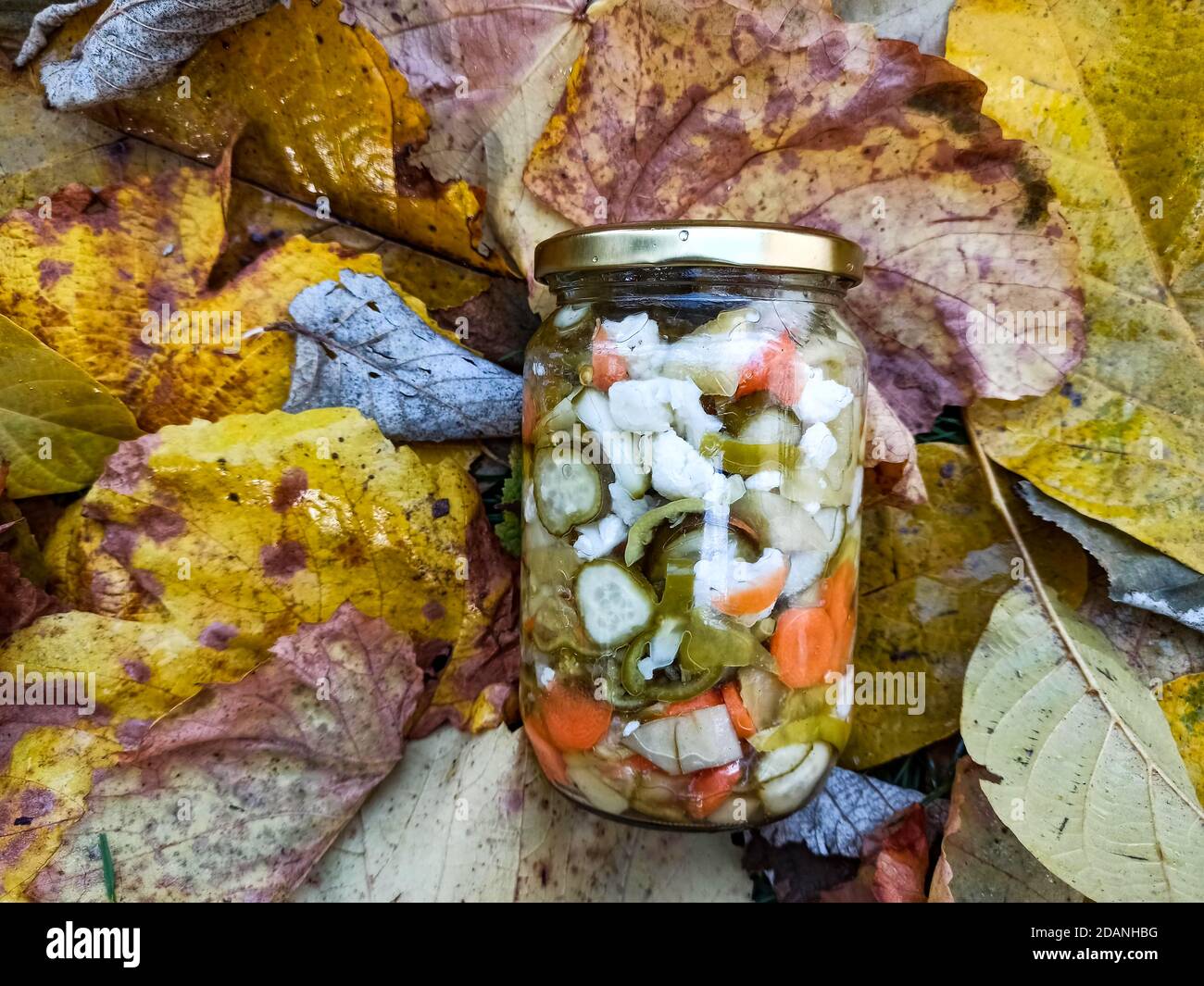 Preserved vegetables on autumn leaves background Stock Photo - Alamy