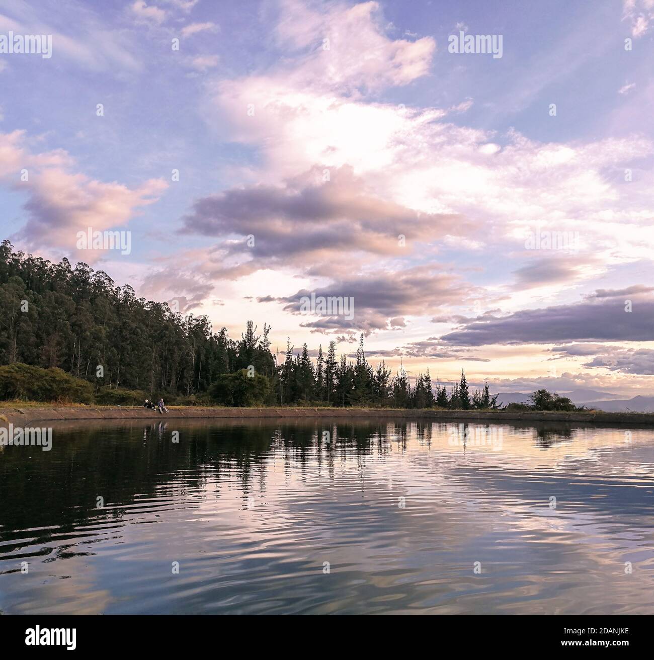 Scenic forest by the lake, picturesque trees and sky reflecting in the ...