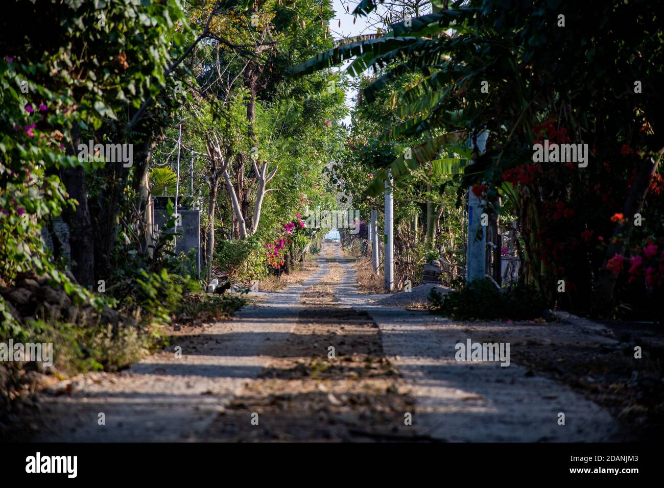 Path leading through ocean hi-res stock photography and images - Alamy