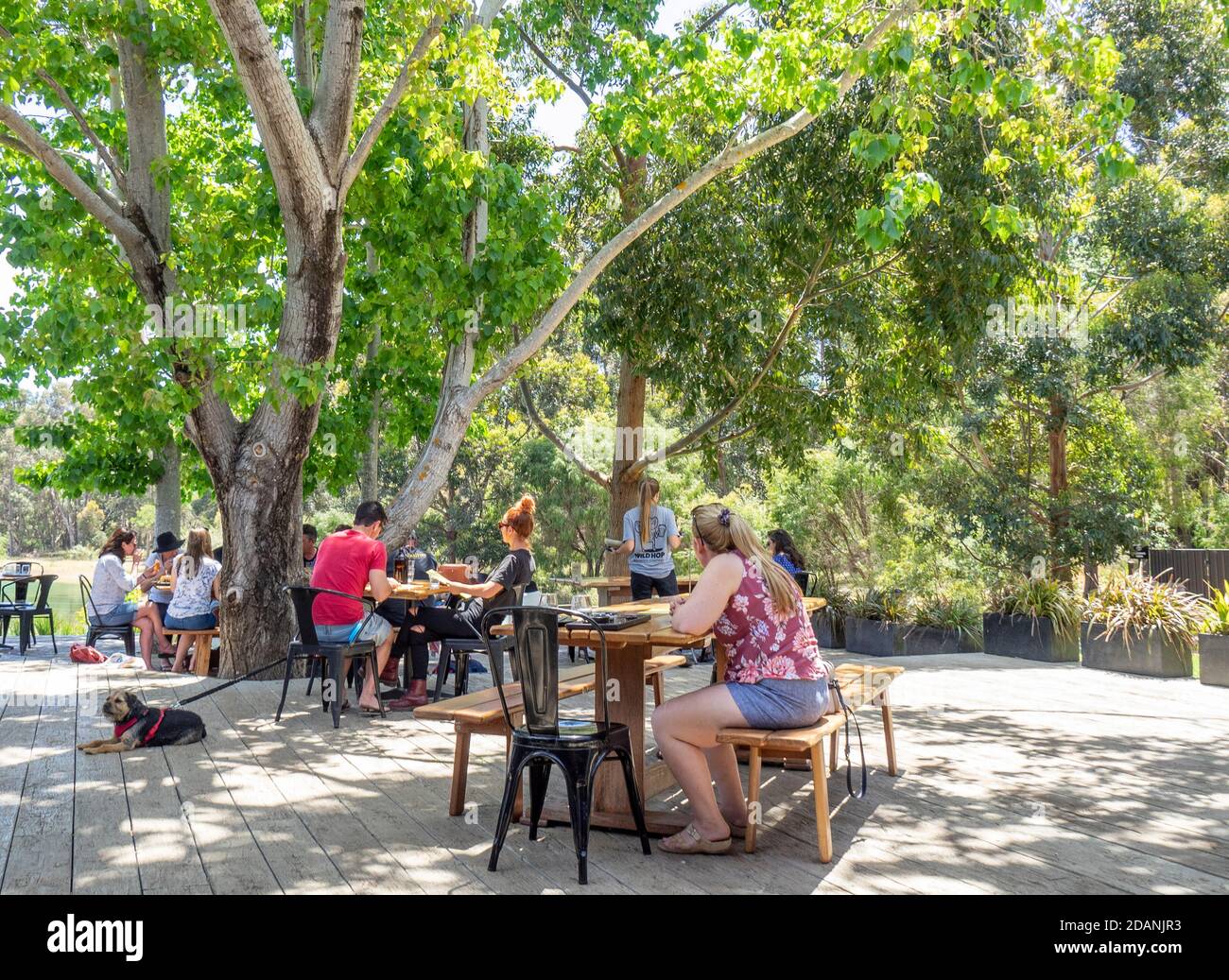 People dining Al fresco at Wild Hop Brewery Yallingup Margaret River ...