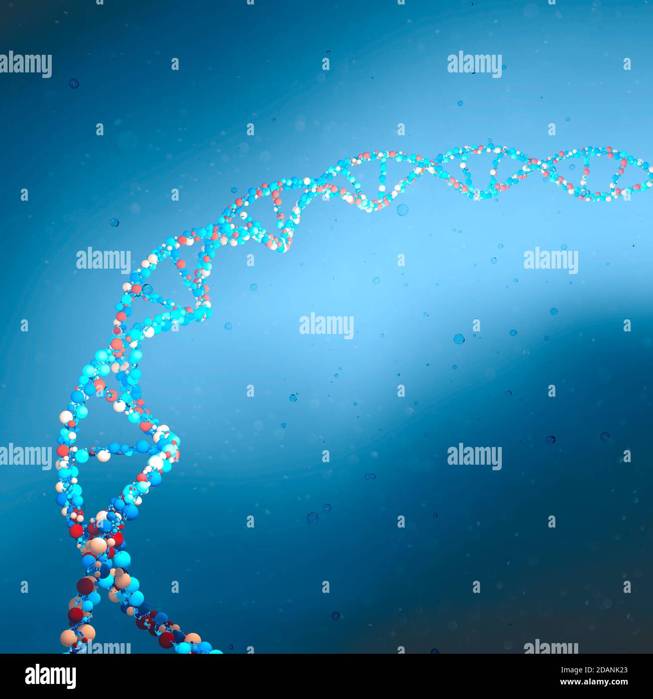 DNA helix, Deoxyribonucleic acid is a thread-like chain of nucleotides ...