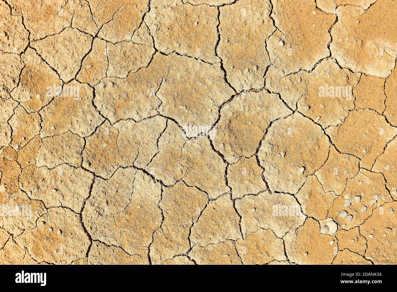 background, texture - dry clay soil with mudcracks Stock Photo - Alamy