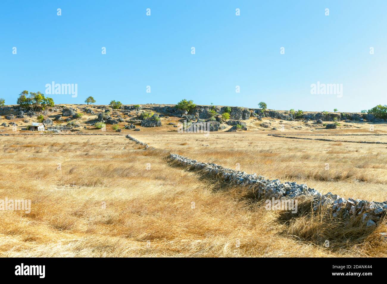 Hot environment hi-res stock photography and images - Alamy