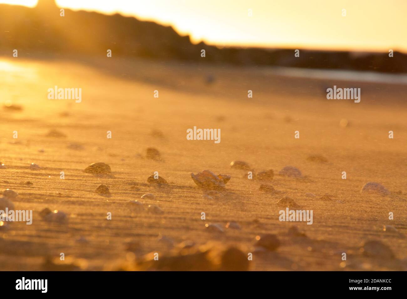 Gust of wind hi-res stock photography and images - Alamy