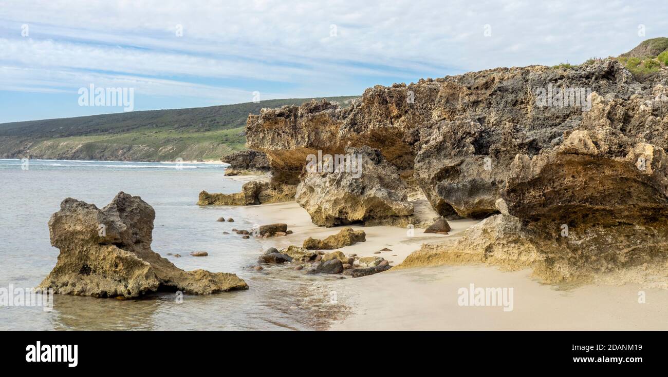Rocky limestone outcrop at Yallingup Beach Margaret River Region ...