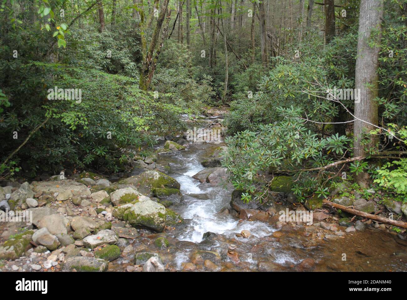 Rushing mountain streams hi-res stock photography and images - Alamy