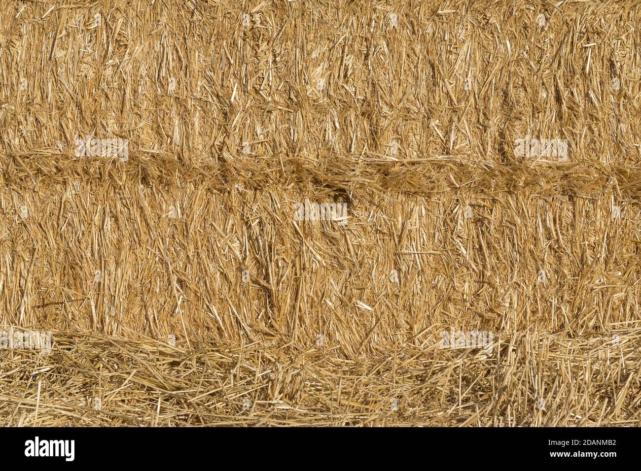 Texture of straw bale, truss. Paca abtract background Stock Photo - Alamy