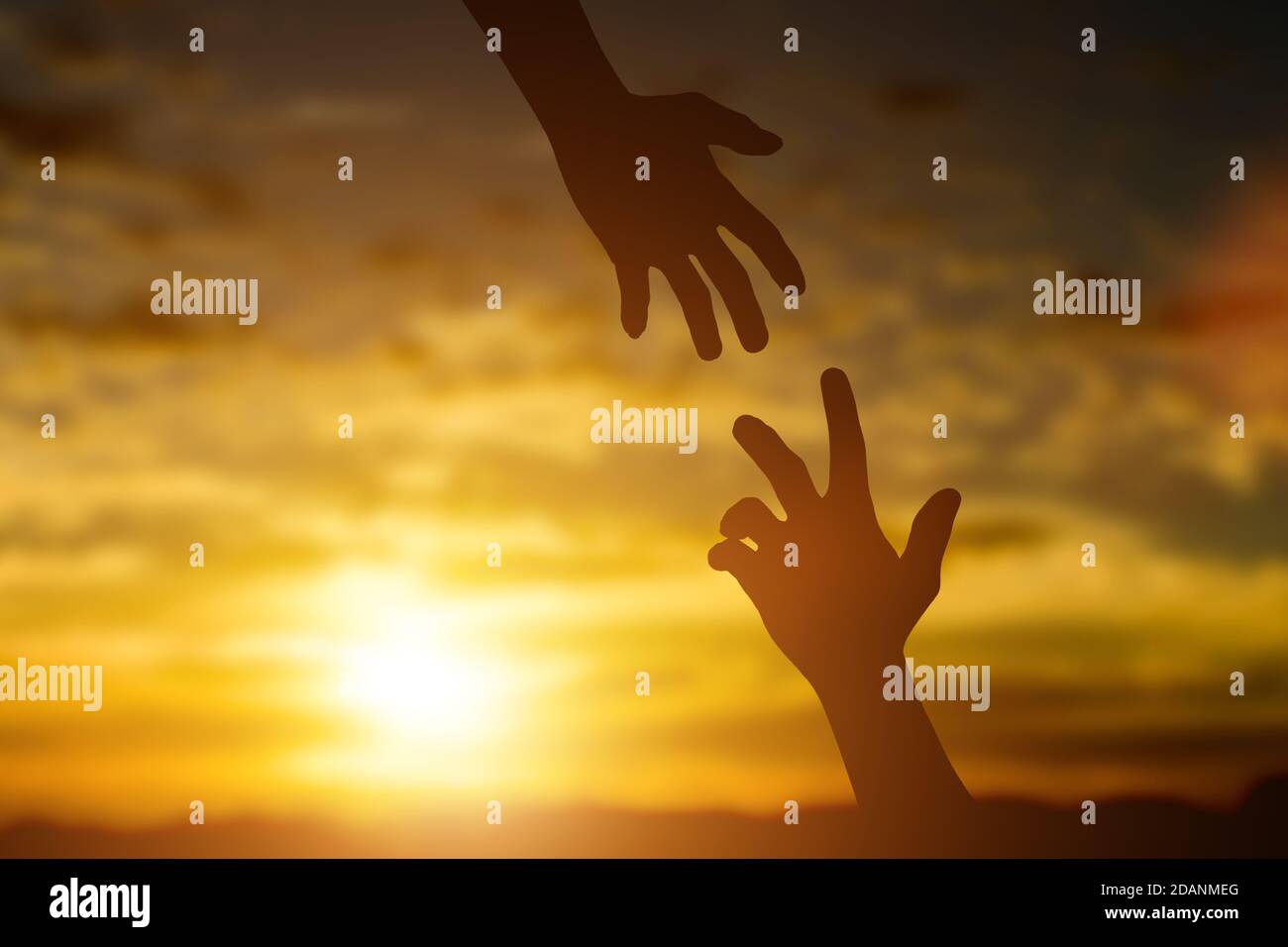 Giving nature a helping hand hi-res stock photography and images - Alamy