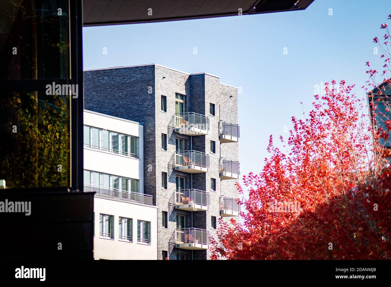 Display in apartment building window hi-res stock photography and ...
