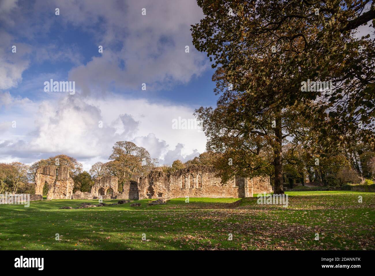 Basingwerk Abbey, Greenfield, North Wales Stock Photo - Alamy