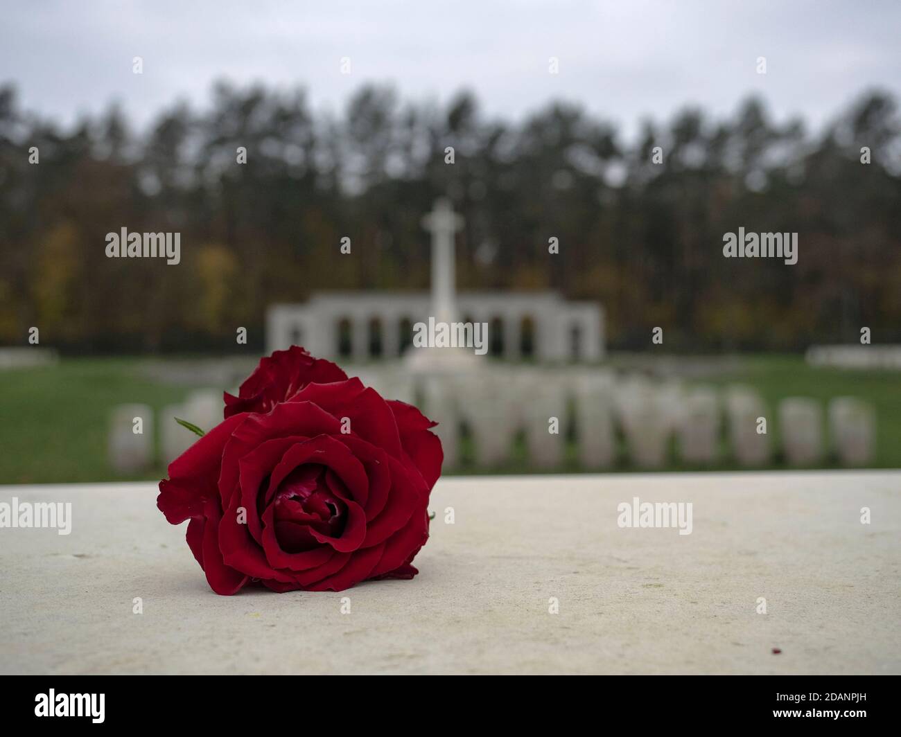 Berlin, Germany. 12th Nov, 2020. The British military cemetery on ...