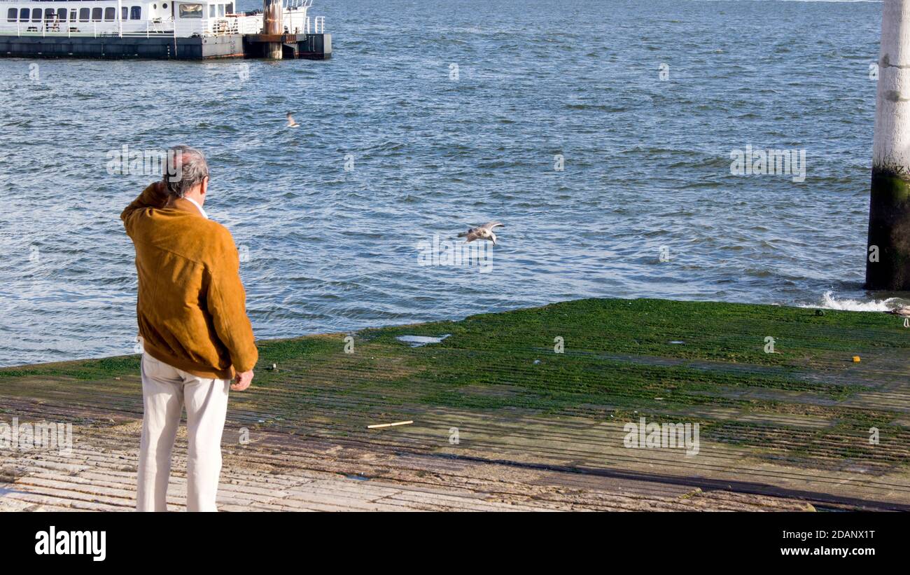 Man looking at river hi-res stock photography and images - Alamy