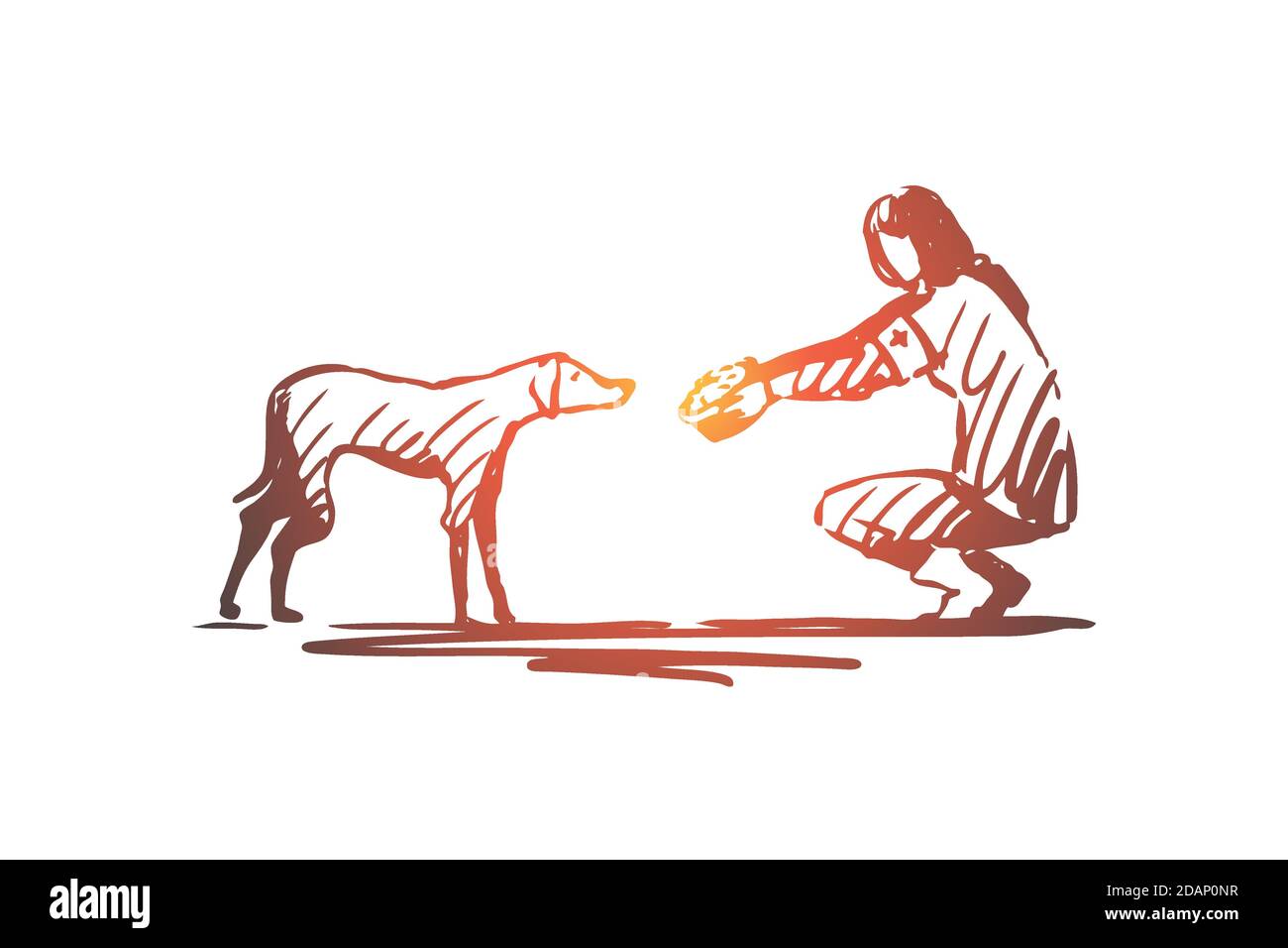 Volunteer, street, animal, help concept. Hand drawn isolated vector ...