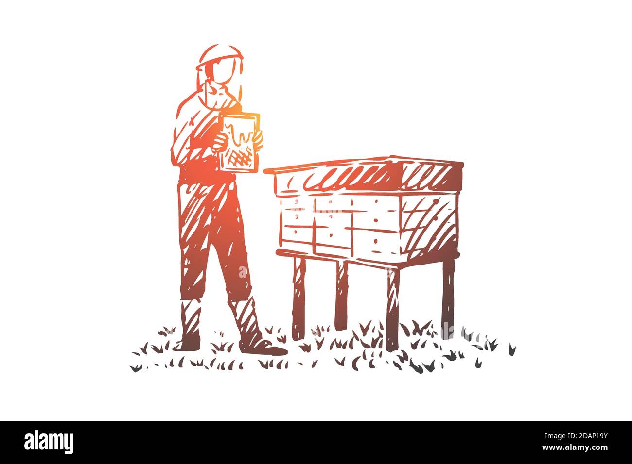 Beekeeper, agriculture, farm, bee, apiary concept. Hand drawn isolated ...