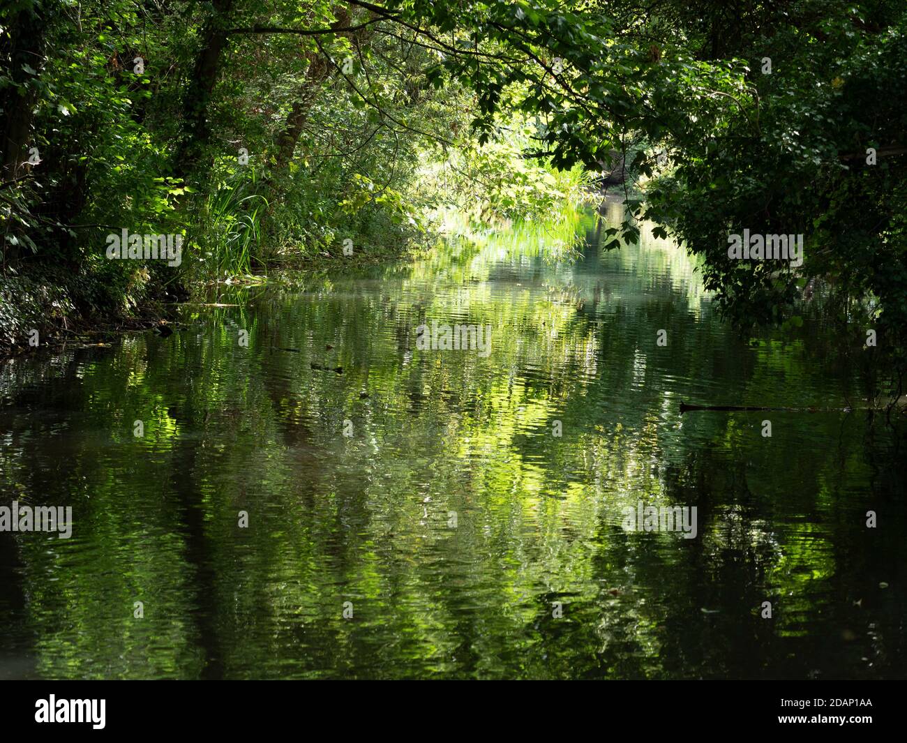 River Darent and Trees, Lullingstone Country Park, Kent UK Stock Photo ...