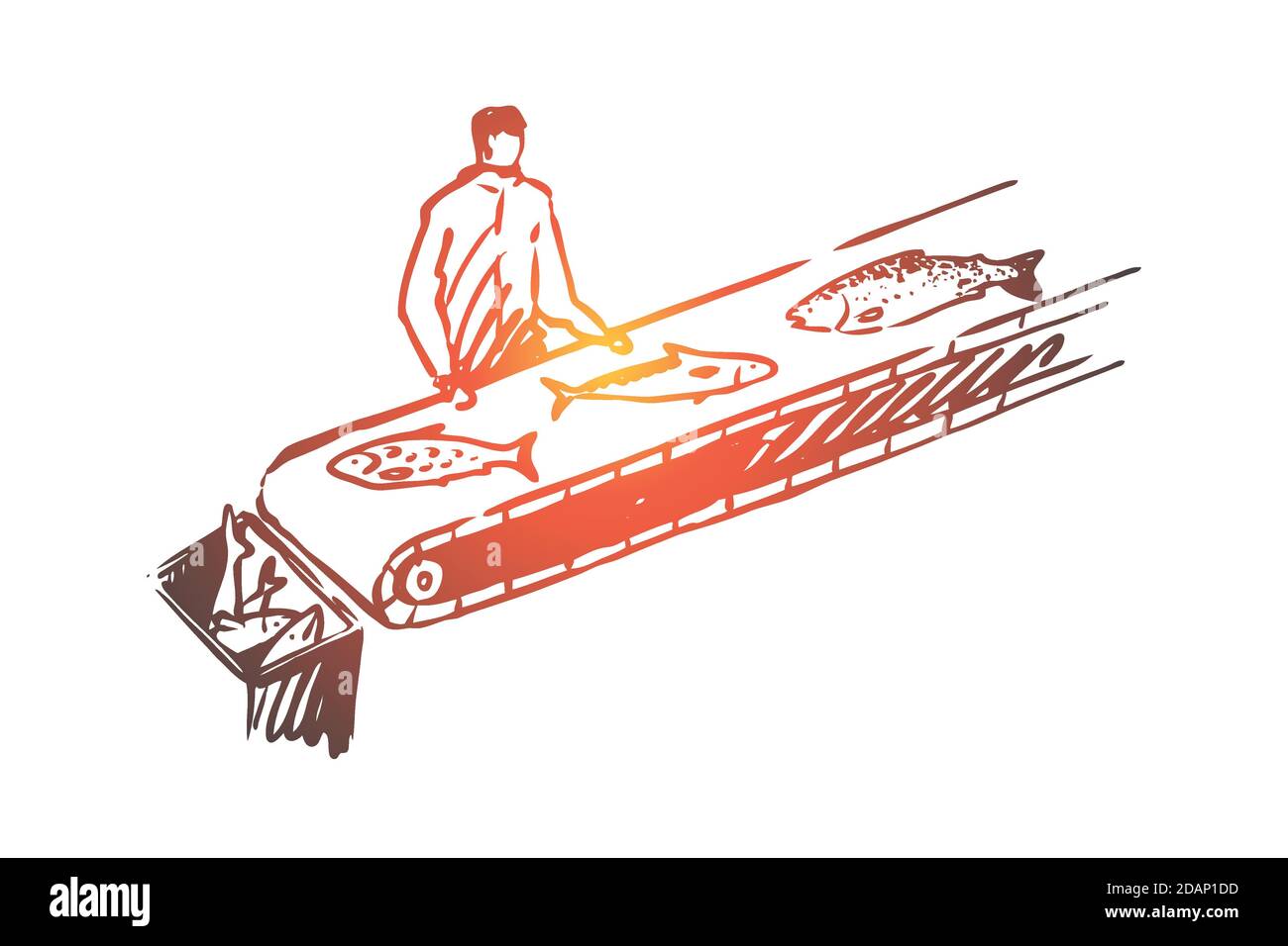 Fish, sorting, industry, production, raw concept. Hand drawn isolated ...