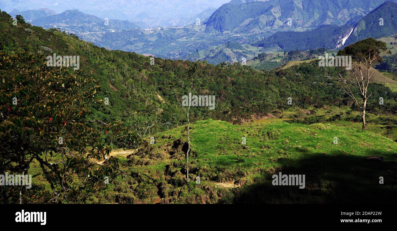 Scenic landscape in Cordiliera Central, Salento, Colombia, South ...