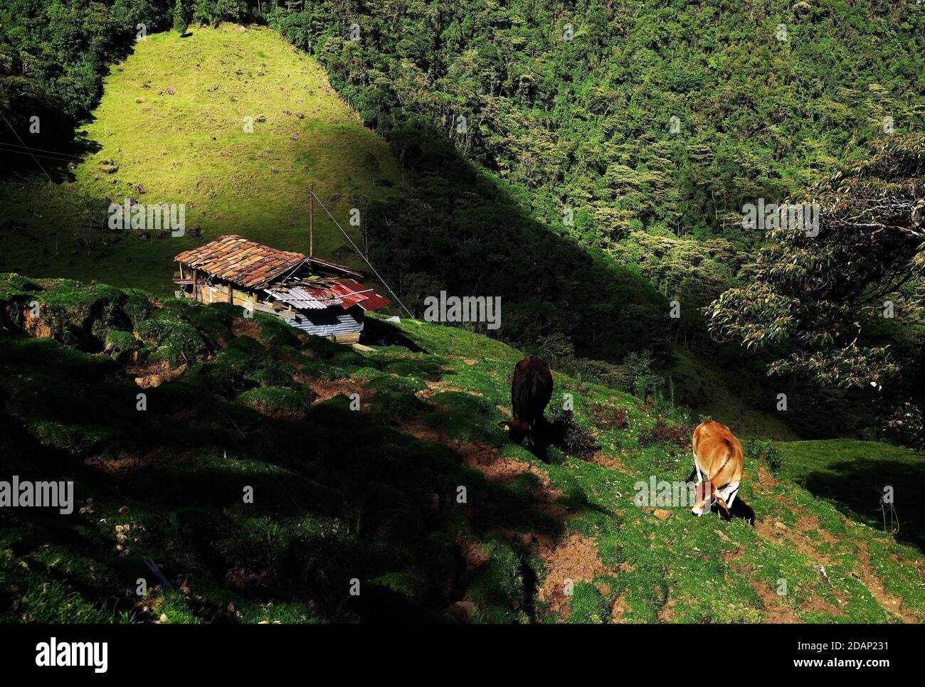Scenic landscape in Cordiliera Central, Salento, Colombia, South ...