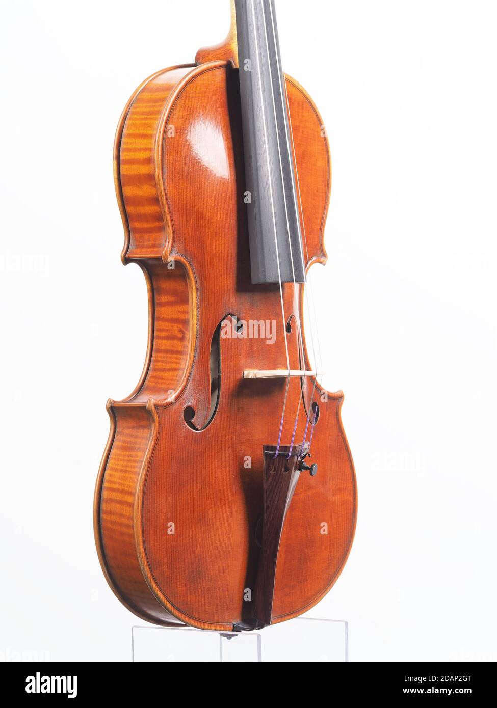 Isolated on white Violin by Maestro Gianluca Poli Bologna Italia Poggi ...