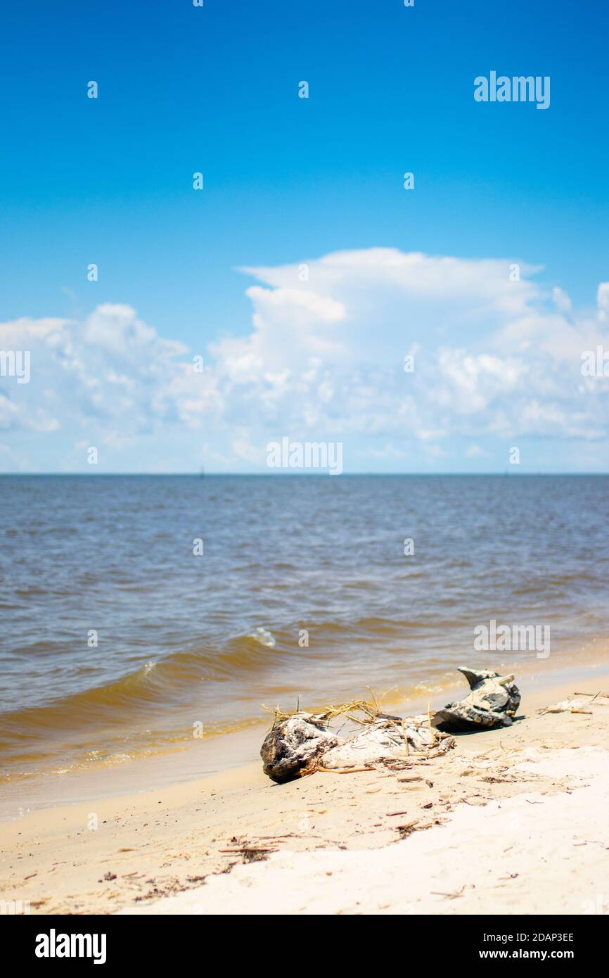 Sooth hi-res stock photography and images - Alamy
