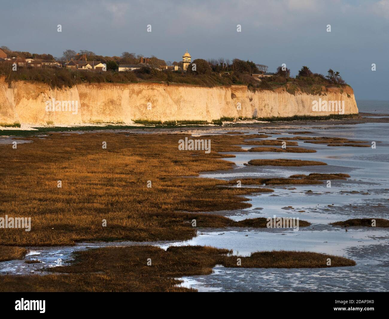 Atmospheric habitat environment hi-res stock photography and images - Alamy