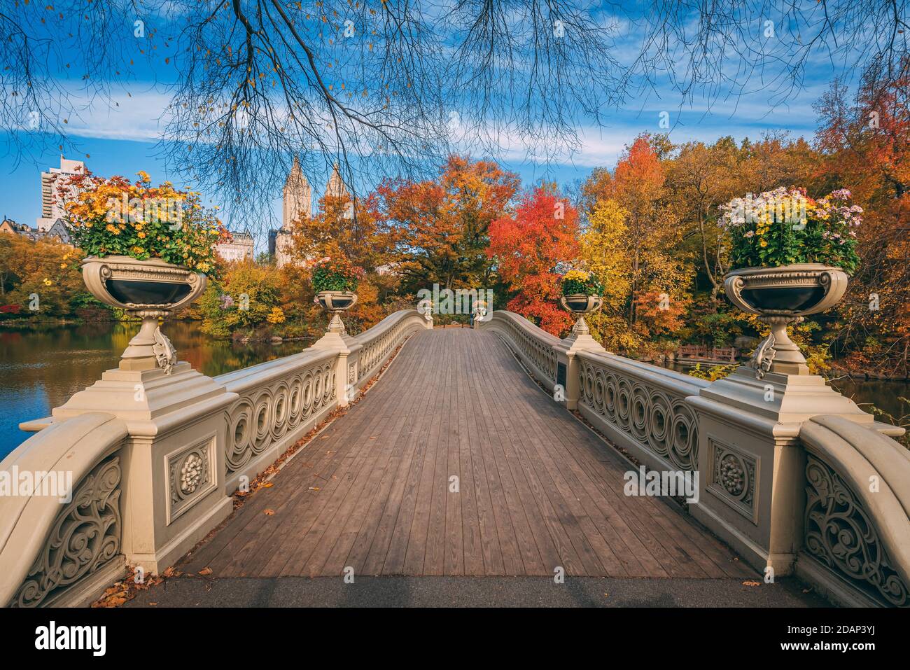 The Bow Bridge with autumn color, in Central Park, Manhattan, New York ...