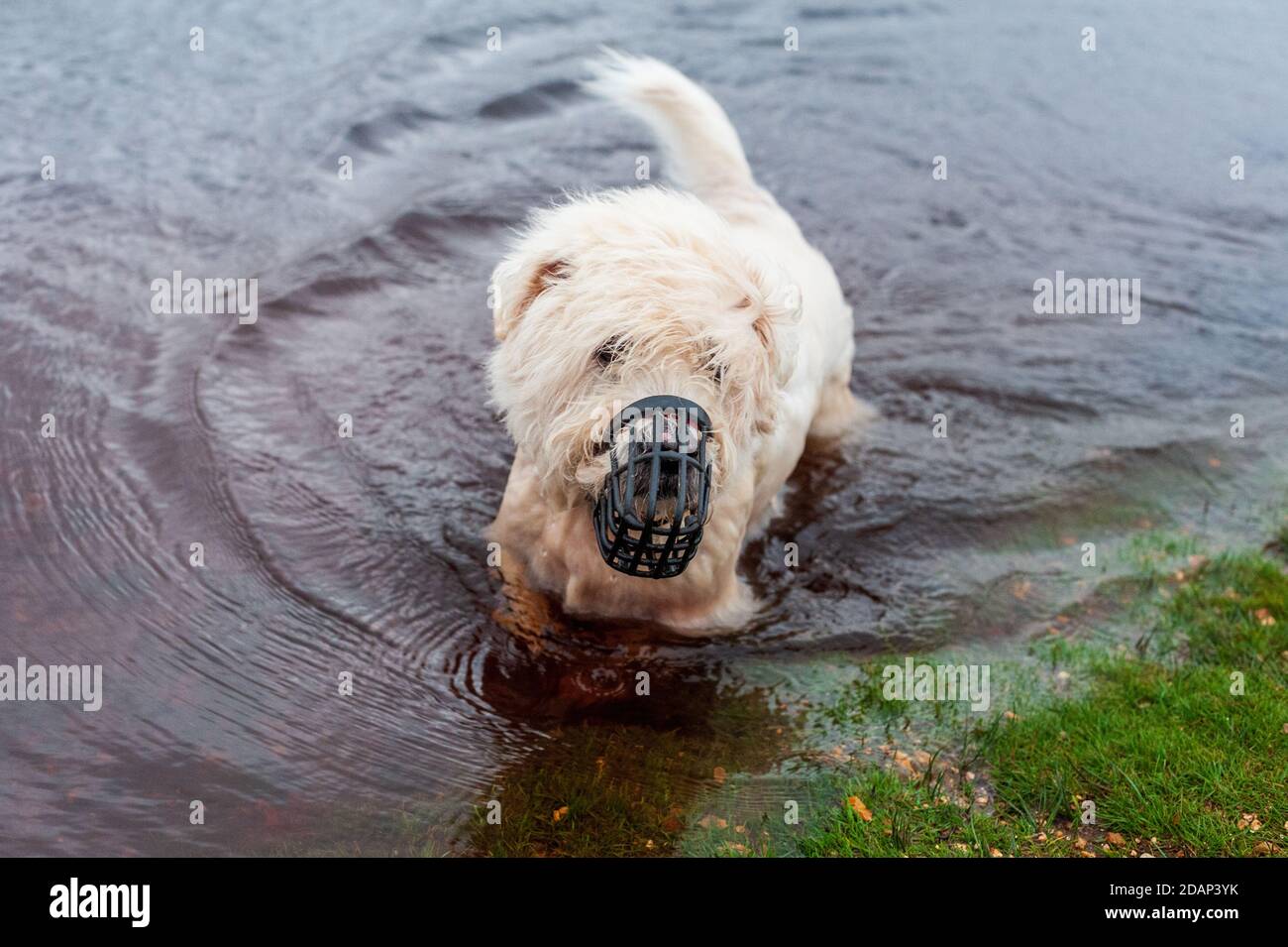 Unperturbed hi-res stock photography and images - Alamy