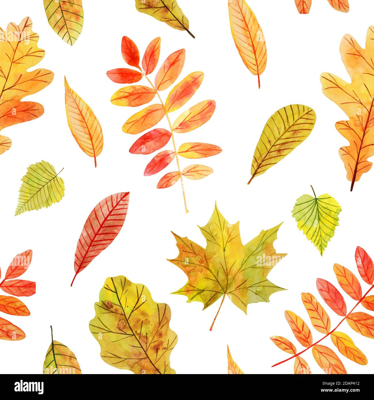 Colorful seamless pattern with watercolor autumn leaves on white ...