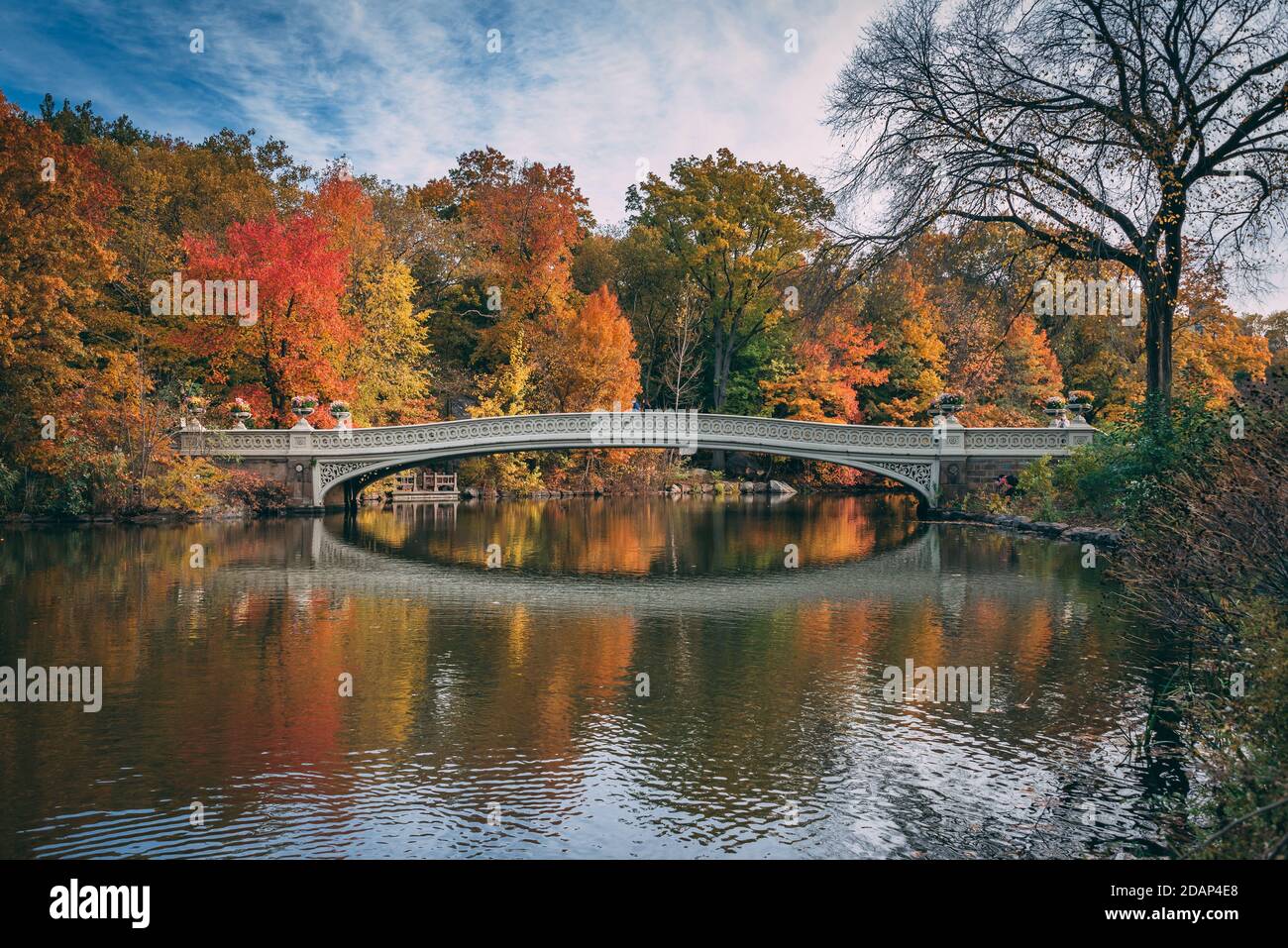 The Bow Bridge with autumn color, in Central Park, Manhattan, New York ...