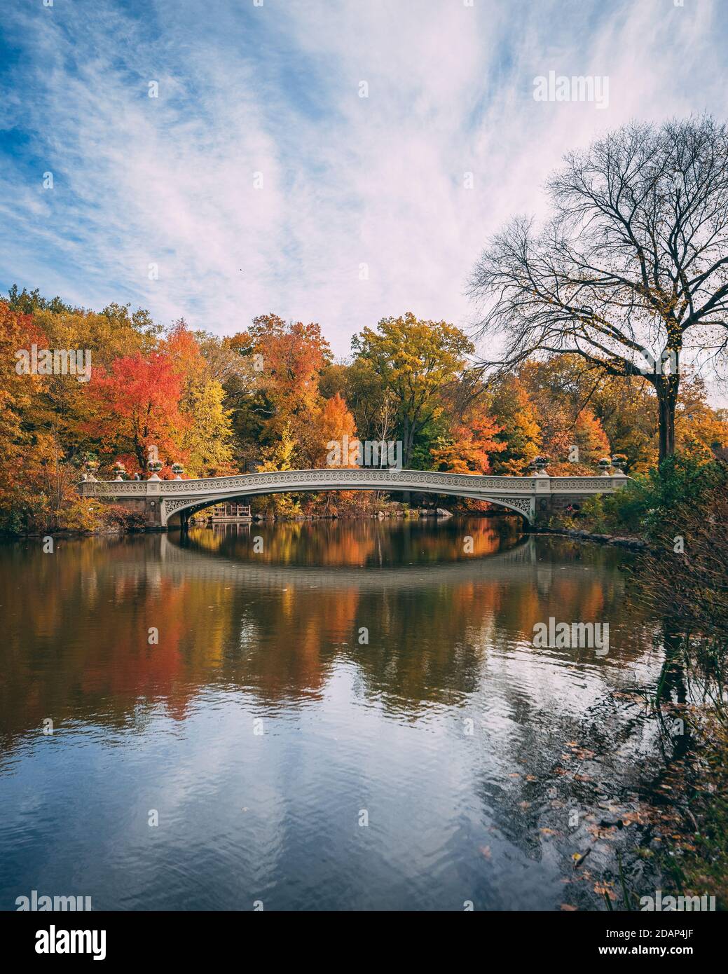 The Bow Bridge with autumn color, in Central Park, Manhattan, New York ...