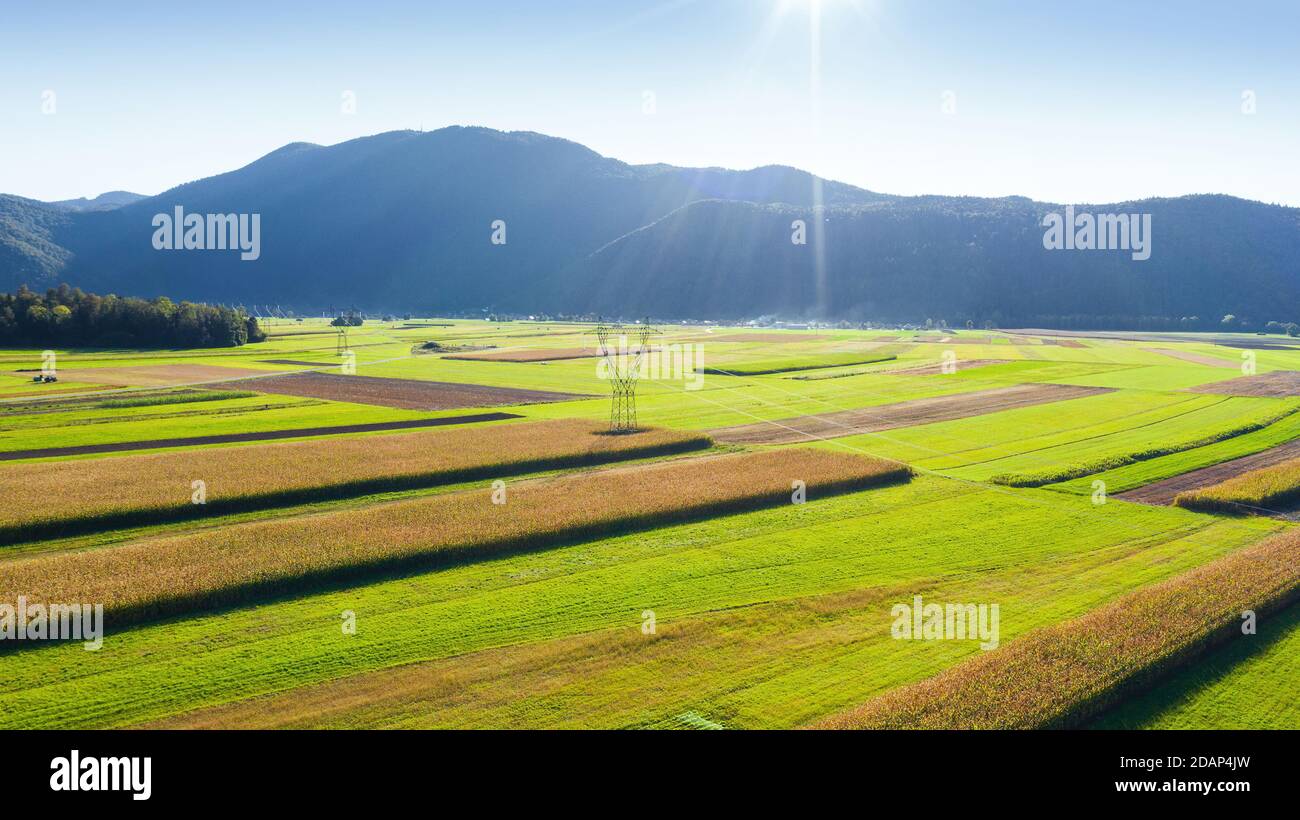 Aerial view of agricultural farming fields from sky Stock Photo - Alamy