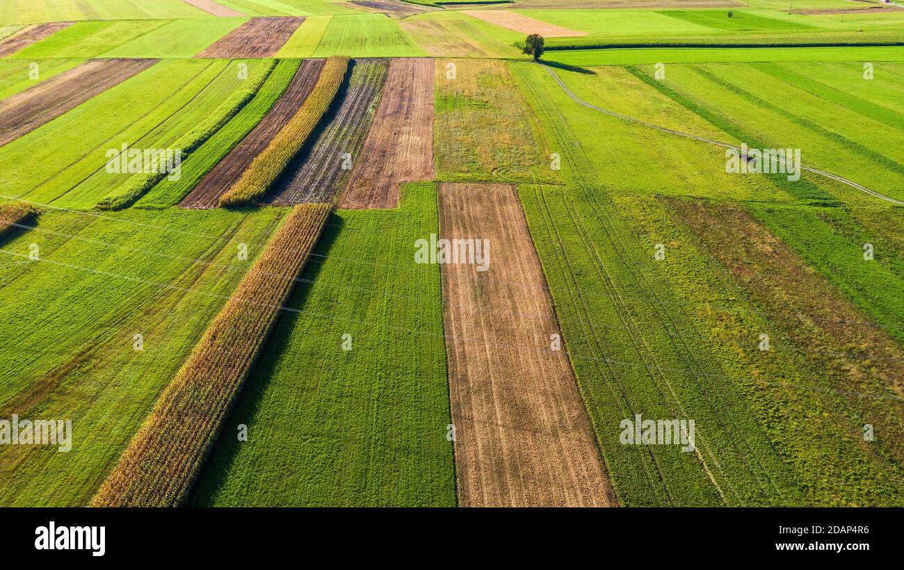 Aerial view of agricultural farming fields from sky Stock Photo - Alamy