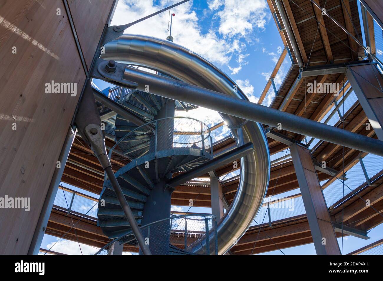 Forest canopy tower. Footpath above treetops, outdoor adventure on ...