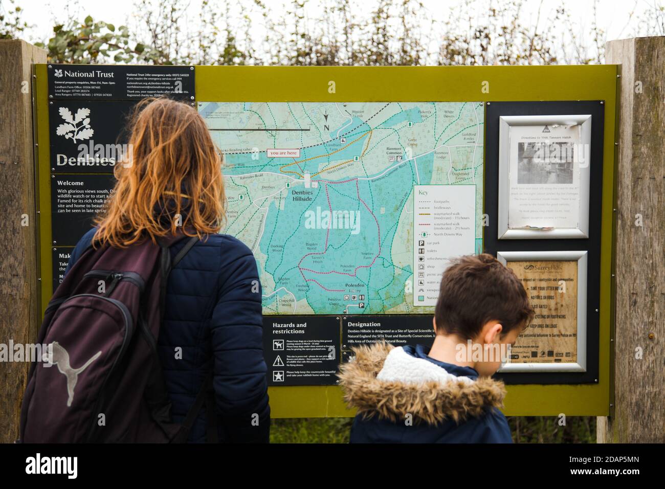 Female reading Notice board Information sign for Denbies Hillside ...
