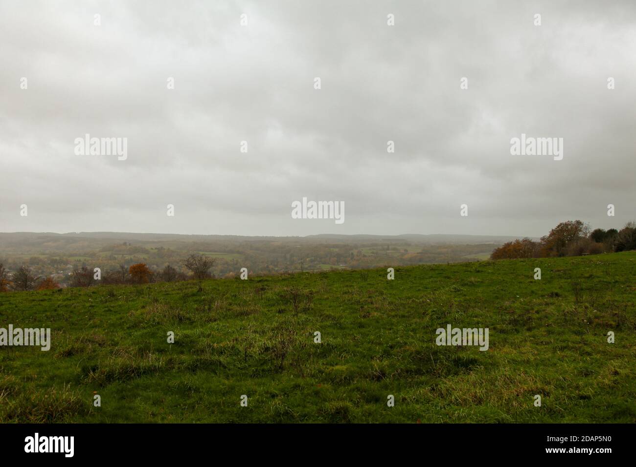 Denbies hillside national trust hi-res stock photography and images - Alamy