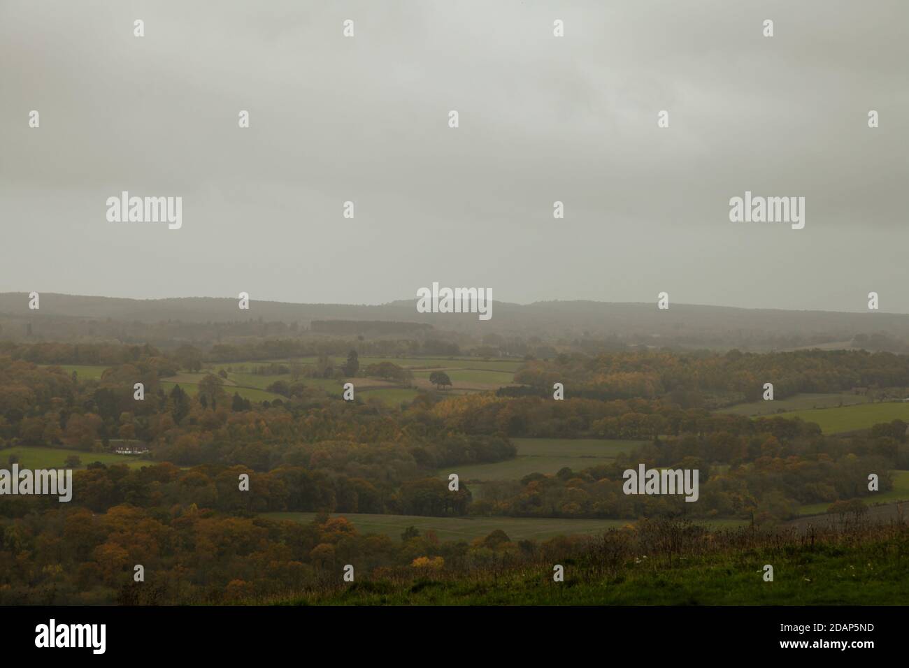 Denbies hillside national trust hi-res stock photography and images - Alamy