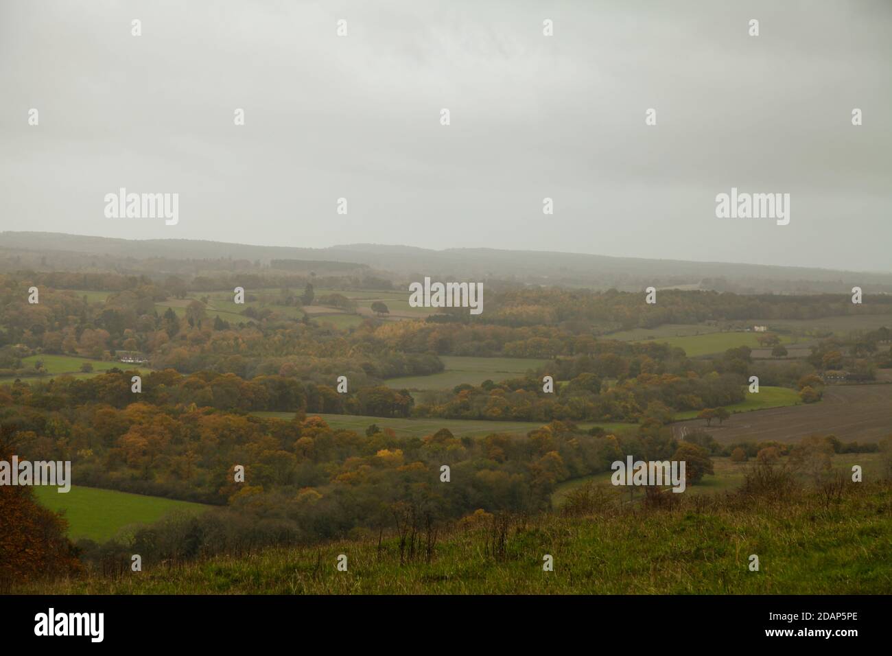 A scenic view from Denbies Hillside, misty, Surrey Hills, England, UK ...